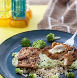 Northern Pike Recipe- GF or Panko Crusted - Binky's Culinary Carnival