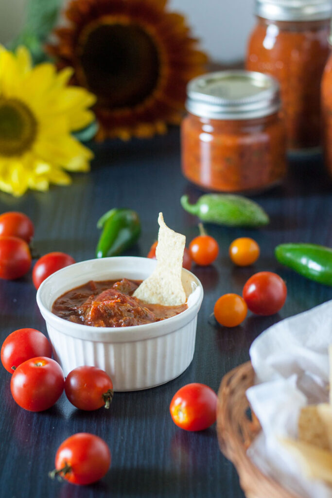 Chipotle Salsa Recipe - A Hint of Smokiness - Binky's Culinary Carnival