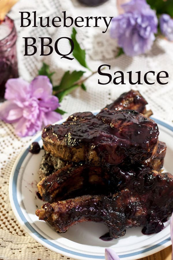 Blueberry BBQ Sauce - Binky's Culinary Carnival