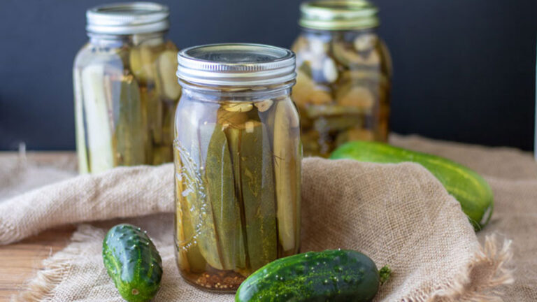 21 Pickle Recipes That Prove Pickled Food Is Always Better - Binky's Culinary Carnival
