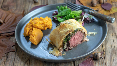 55 Bold and Flavorful Venison Recipes for Every Occasion - Binky's ...