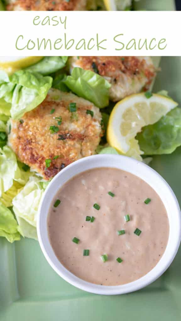 Spicy Southern Comeback Sauce - Binky's Culinary Carnival