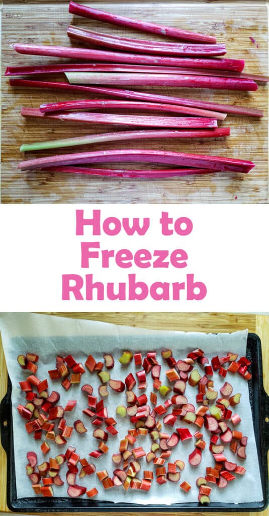 How to Freeze Rhubarb - Binky's Culinary Carnival
