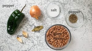 Slow Cooker Refried Beans (Frijoles Refritos) - Binky's Culinary Carnival