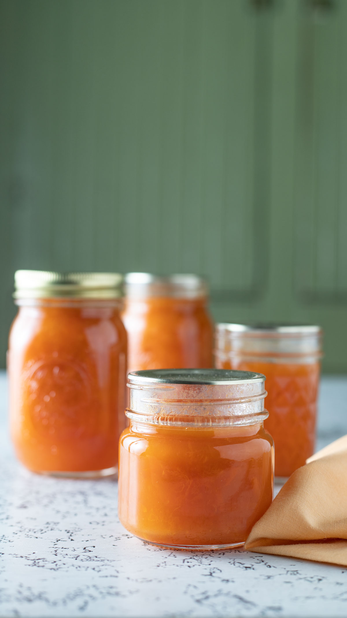 Apricot Jam- How to Make Apricot Jam - Binky's Culinary Carnival