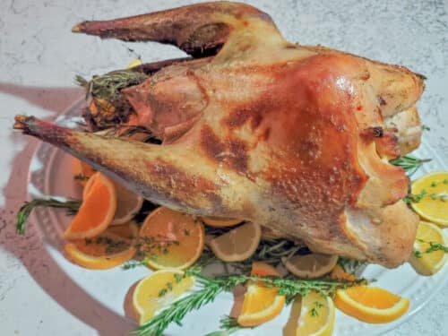 How to cook a wild turkey - Binky's Culinary Carnival