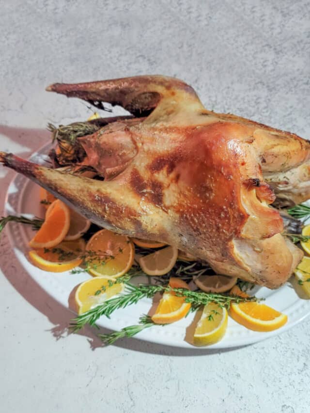 How to cook a wild turkey - Binky's Culinary Carnival