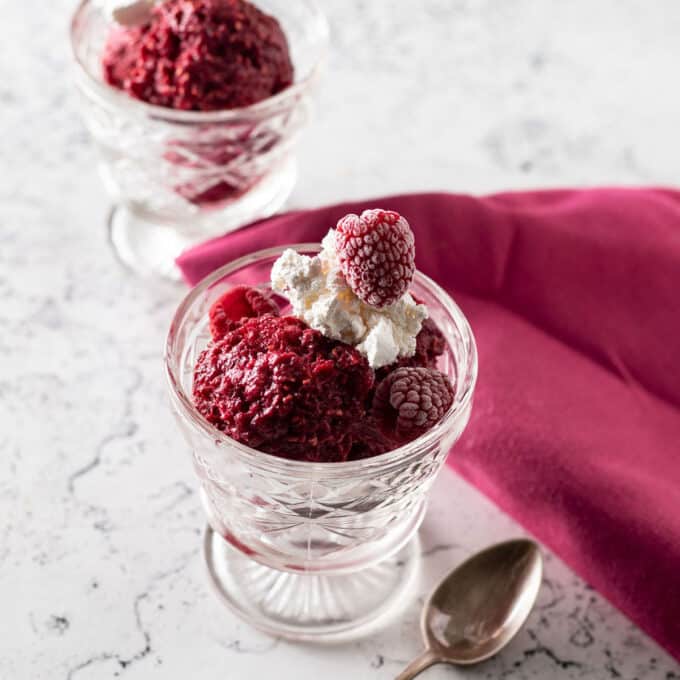 Raspberry Sherbet / Sorbet - Binky's Culinary Carnival