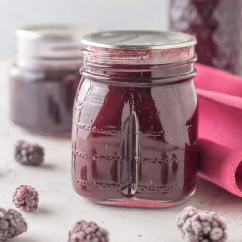 Blackberry Syrup | Canning Instructions - Binky's Culinary Carnival