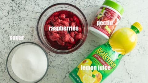 Seedless Raspberry Jam - Binky's Culinary Carnival
