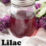 Lilac Simple Syrup - Binky's Culinary Carnival