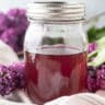 Lilac Simple Syrup - Binky's Culinary Carnival
