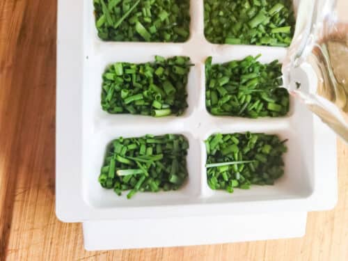 How to Preserve Chives | Store, Freeze, Dry - Binky's Culinary Carnival