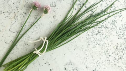 How to Preserve Chives | Store, Freeze, Dry - Binky's Culinary Carnival