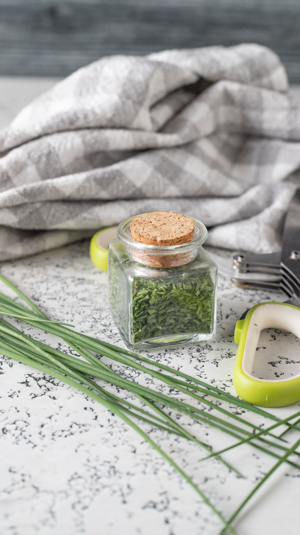 How to Preserve Chives | Store, Freeze, Dry - Binky's Culinary Carnival