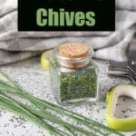 How to Preserve Chives | Store, Freeze, Dry - Binky's Culinary Carnival
