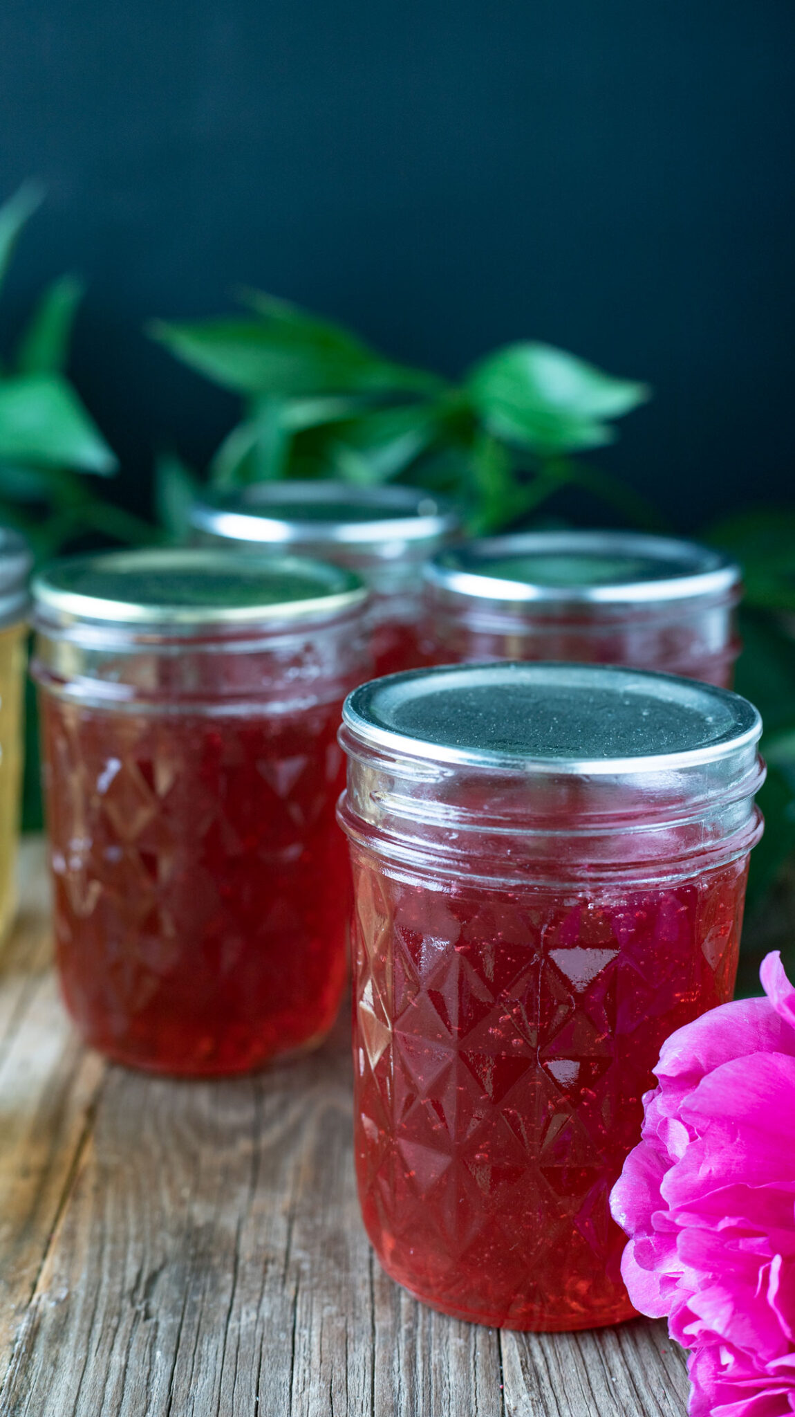 Peony Jelly - Binky's Culinary Carnival