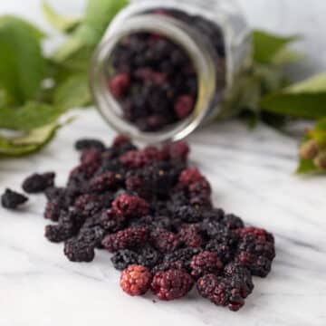 Dehydrating blackberries | Blackberry Powder - Binky's Culinary Carnival