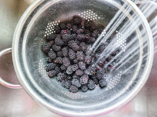 Dehydrating blackberries | Blackberry Powder - Binky's Culinary Carnival