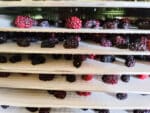 Dehydrating blackberries | Blackberry Powder - Binky's Culinary Carnival