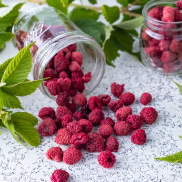 Dehydrating Raspberries | Raspberry Powder - Binky's Culinary Carnival