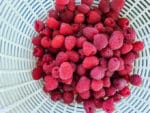 Dehydrating Raspberries | Raspberry Powder - Binky's Culinary Carnival