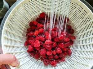 Dehydrating Raspberries | Raspberry Powder - Binky's Culinary Carnival