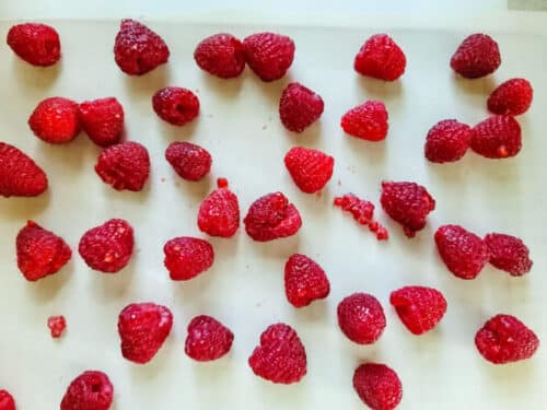 Dehydrating Raspberries | Raspberry Powder - Binky's Culinary Carnival
