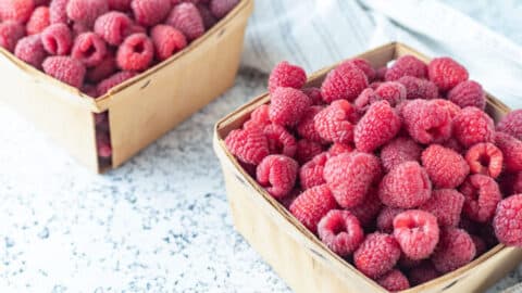 Dehydrating Raspberries | Raspberry Powder - Binky's Culinary Carnival