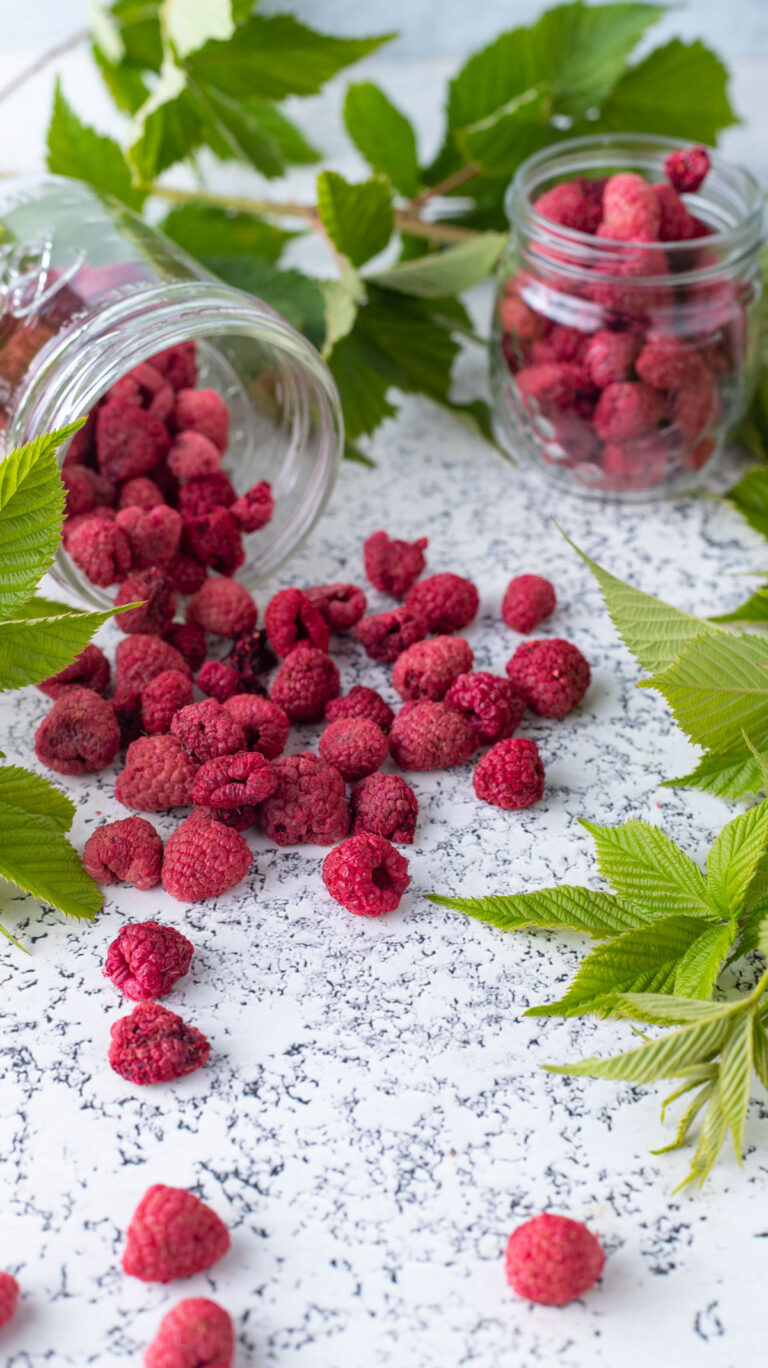 Dehydrating Raspberries | Raspberry Powder - Binky's Culinary Carnival