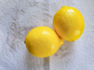 Dehydrated Lemon - Binky's Culinary Carnival
