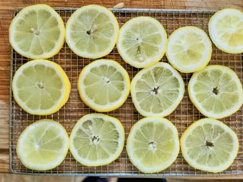 Dehydrated Lemon - Binky's Culinary Carnival