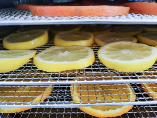 Dehydrated Lemon - Binky's Culinary Carnival