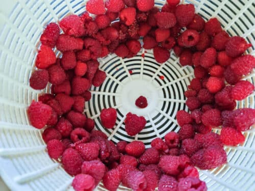 Freezing Raspberries - Binky's Culinary Carnival
