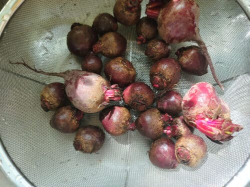 Canning Beets | How to can beets - Binky's Culinary Carnival