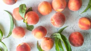 Dehydrating Peaches - Binky's Culinary Carnival