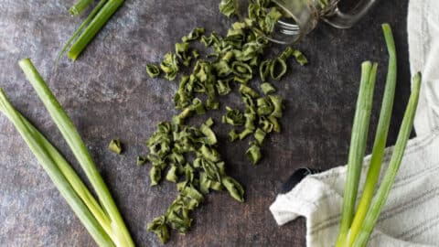 Dehydrating Scallions | Green Onions - Binky's Culinary Carnival