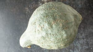 Blue Hubbard Squash Recipe - Binky's Culinary Carnival