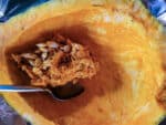 Blue Hubbard Squash Recipe - Binky's Culinary Carnival