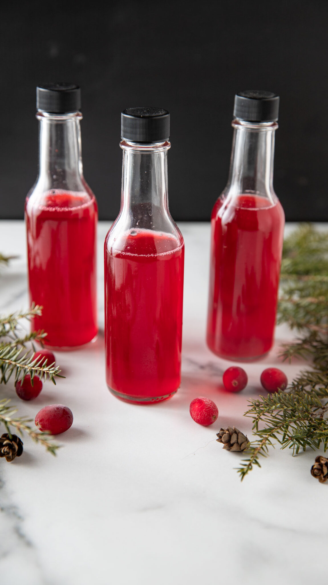 Homemade Cranberry Vinegar - Binky's Culinary Carnival