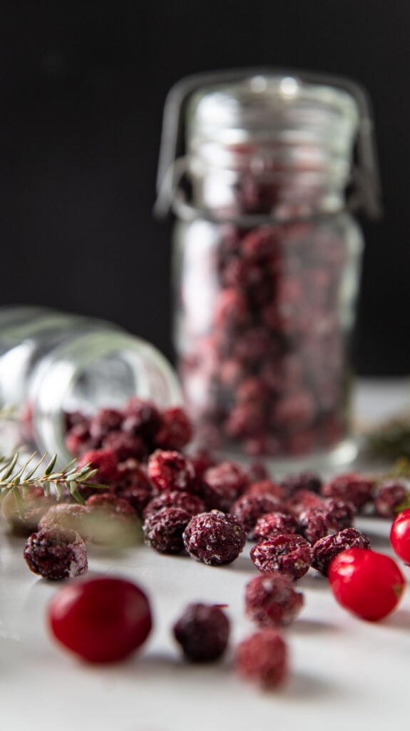 How to Dry Cranberries - Binky's Culinary Carnival