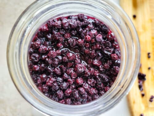 Blueberry Vinegar - Binky's Culinary Carnival
