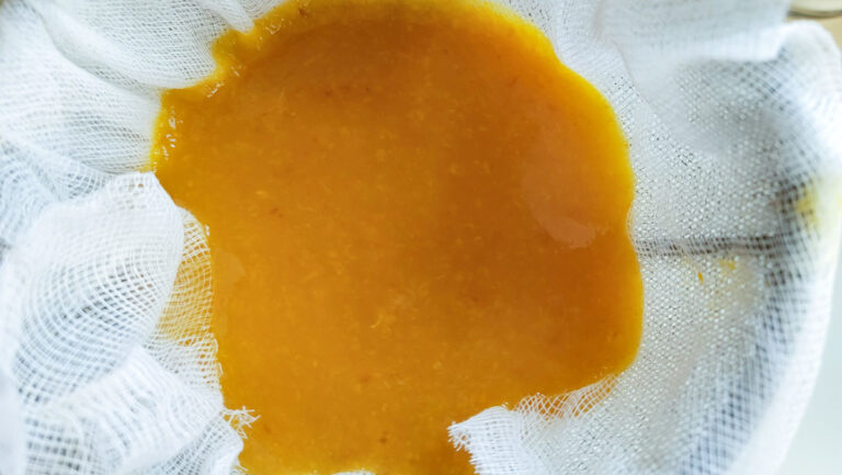 Peach Juice - Binky's Culinary Carnival