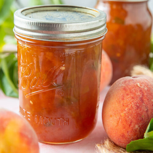 Food Preservation Recipes - Binky's Culinary Carnival