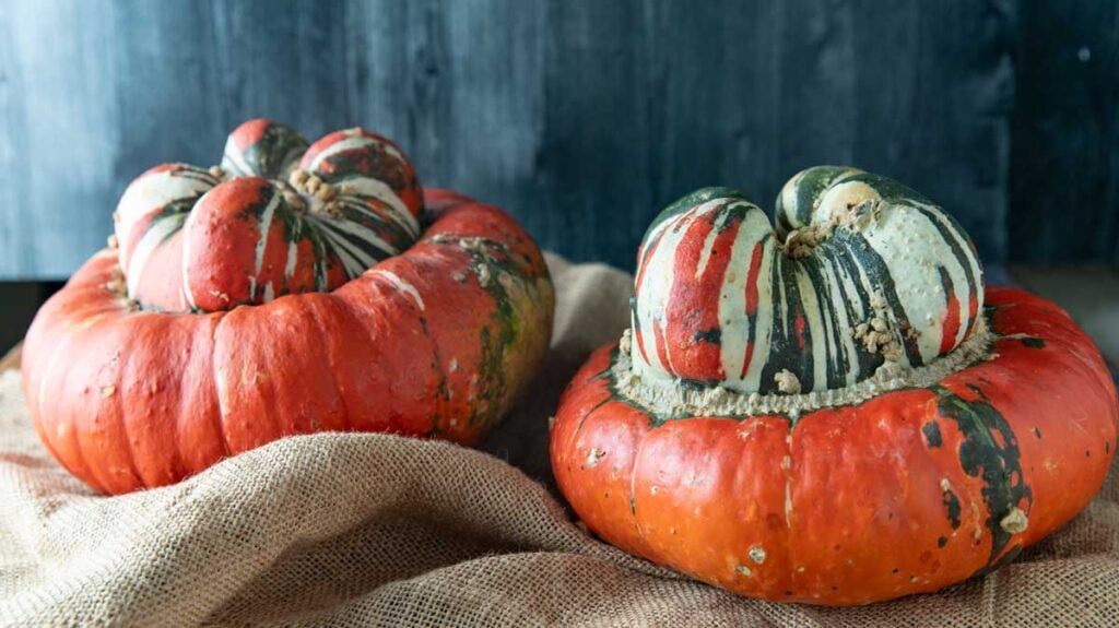 Turban Squash Recipe - Binky's Culinary Carnival