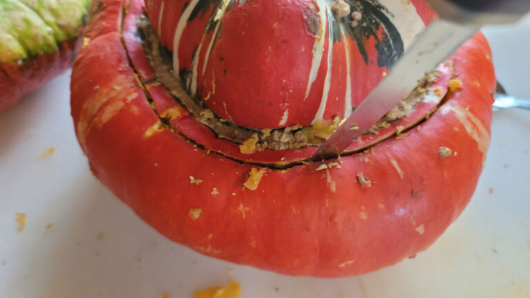 Turban Squash Recipe - Binky's Culinary Carnival