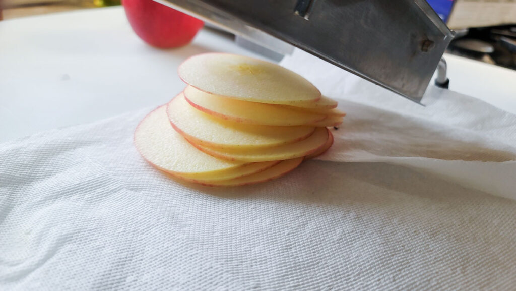 How to Dehydrate Apples | Apple Chip - Binky's Culinary Carnival