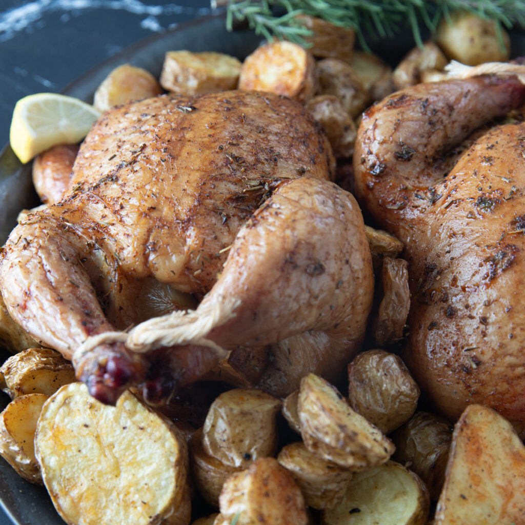 Canning Chicken Broth | Chicken Stock - Binky's Culinary Carnival