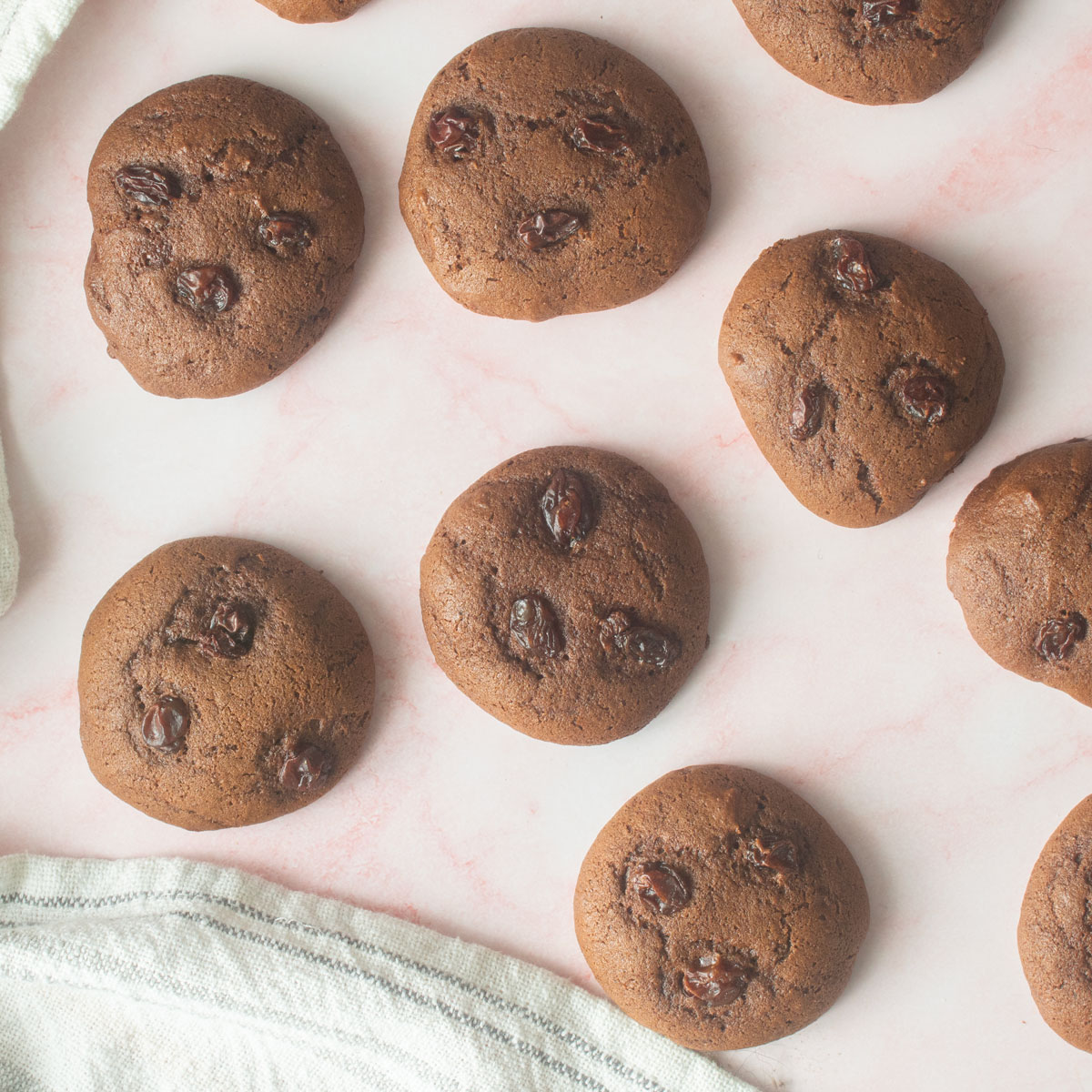 Bread Crumbs from Stale Bread - Binky's Culinary Carnival