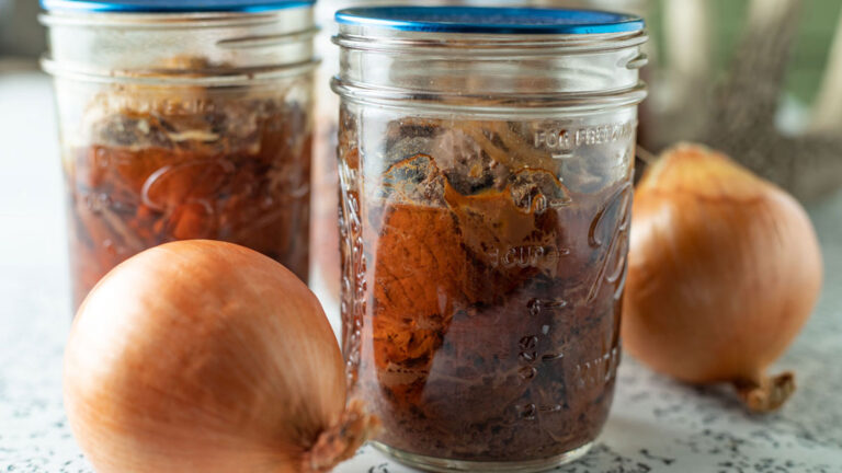 32 Venison Recipes That Turn Wild Game Into Gourmet - Binky's Culinary ...